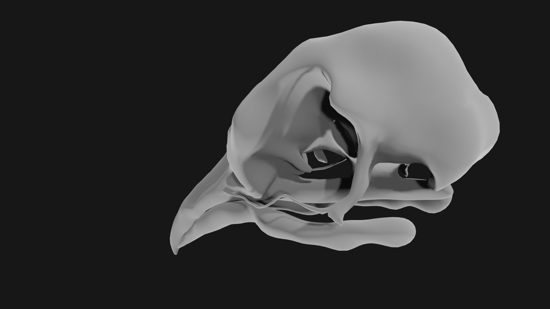 3D Model Pigeon Skull - TurboSquid 1967047