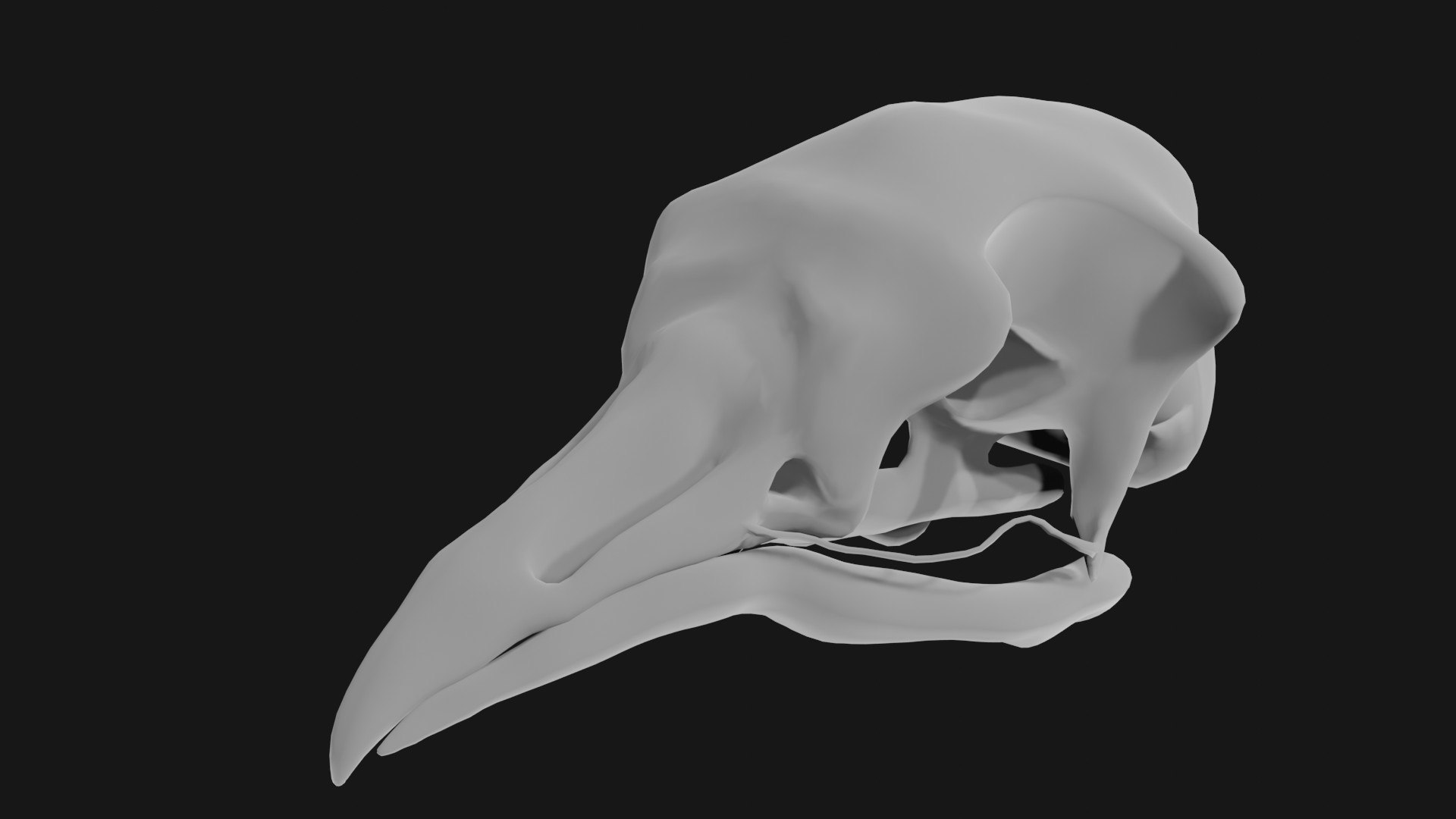 3D Model Pigeon Skull - TurboSquid 1967047