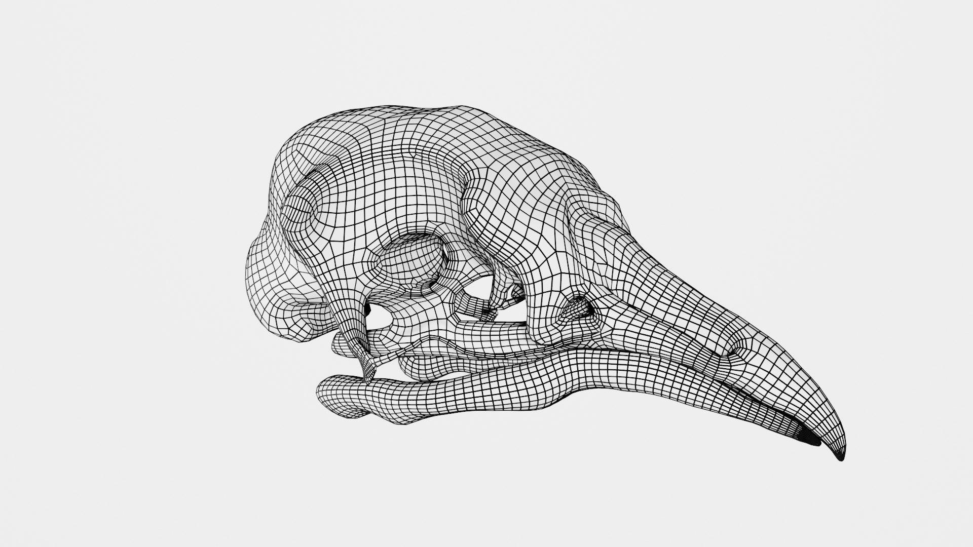 3D Model Pigeon Skull - TurboSquid 1967047
