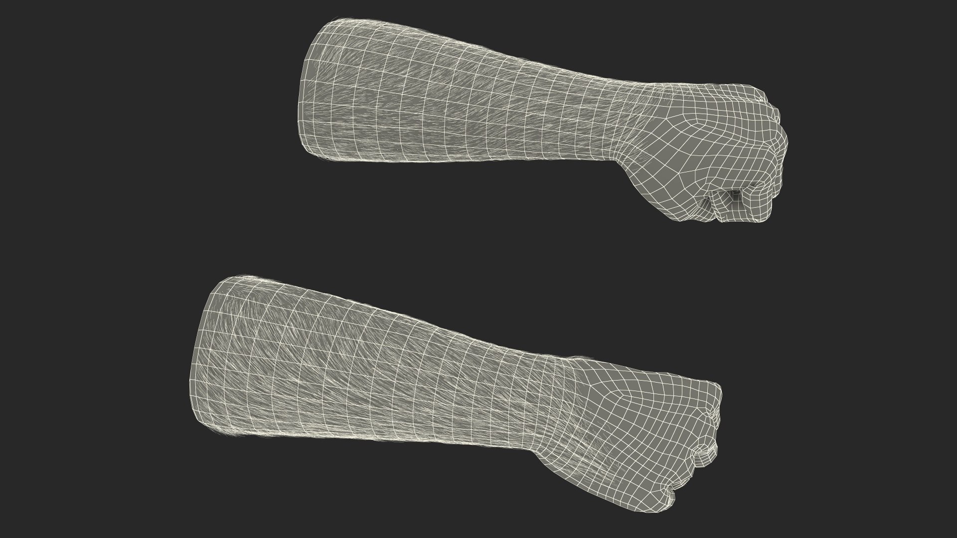 3D Hairy Human Male Arms With Fists Fur - TurboSquid 2327182