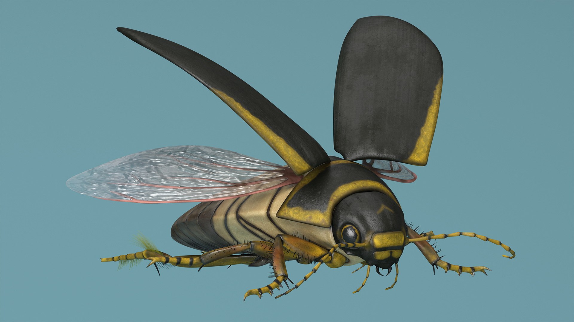 Hygrobia Beetle Brown Flying 3D Model - TurboSquid 2241953