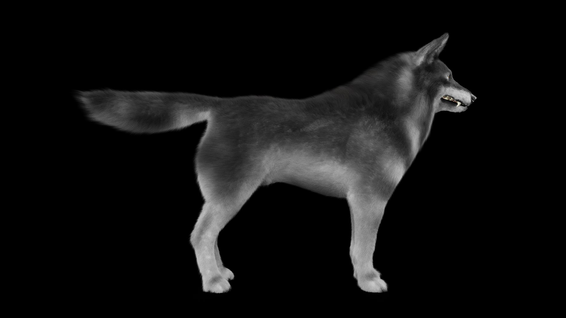Wolf Rigged 3D Model 3D Model - TurboSquid 2261489