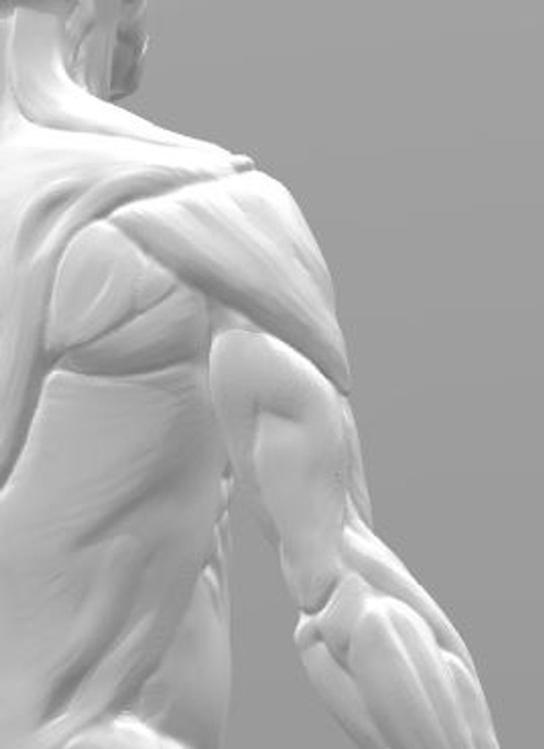Ecorche Printing Character Modelling 3D - TurboSquid 1287840