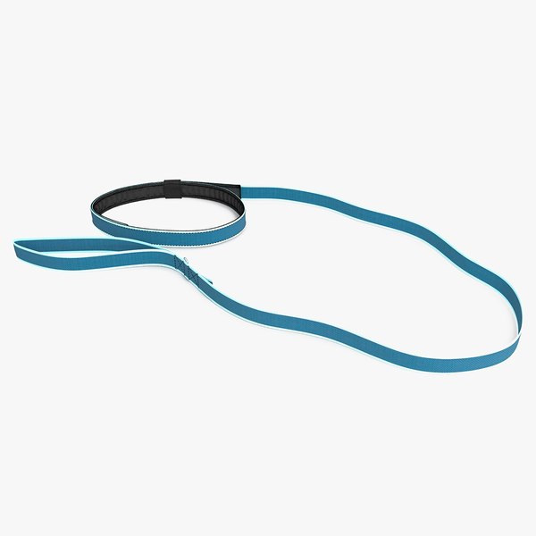Leash 3D Models for Download | TurboSquid