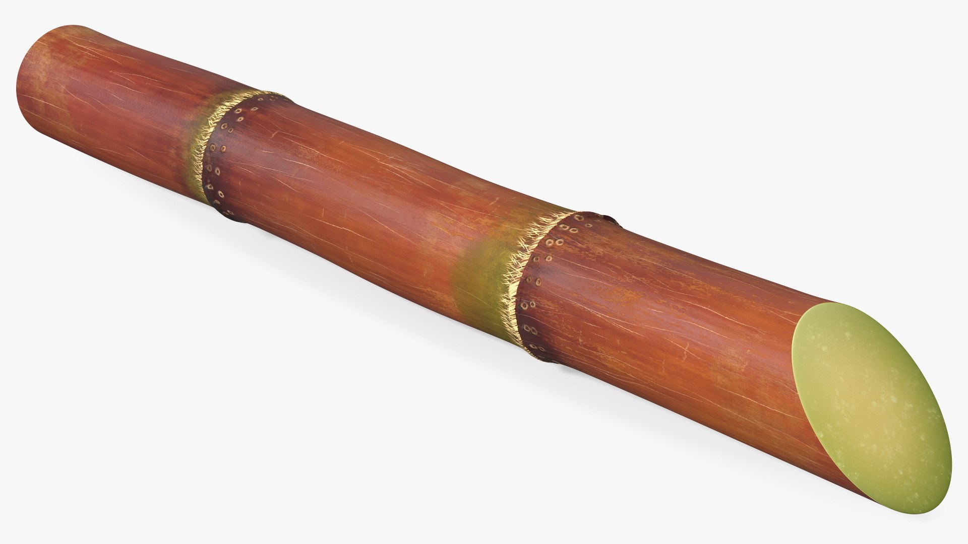 甘蔗紫棍3D模型 - TurboSquid 1853343