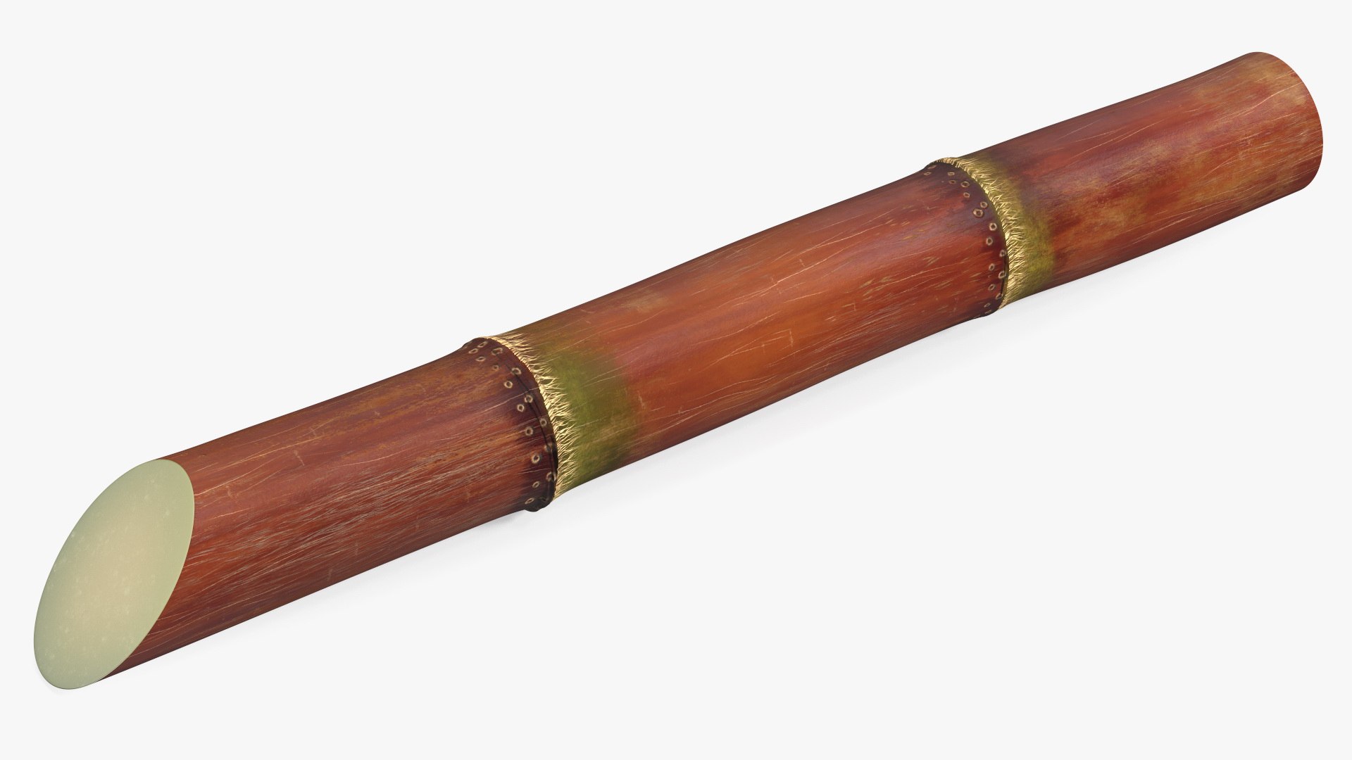 3D Sugarcane Purple Stick - TurboSquid 1853343