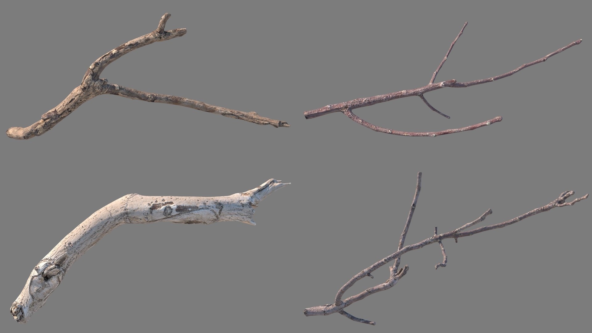 Twigs Scanned Collection 3D Model - TurboSquid 2090285