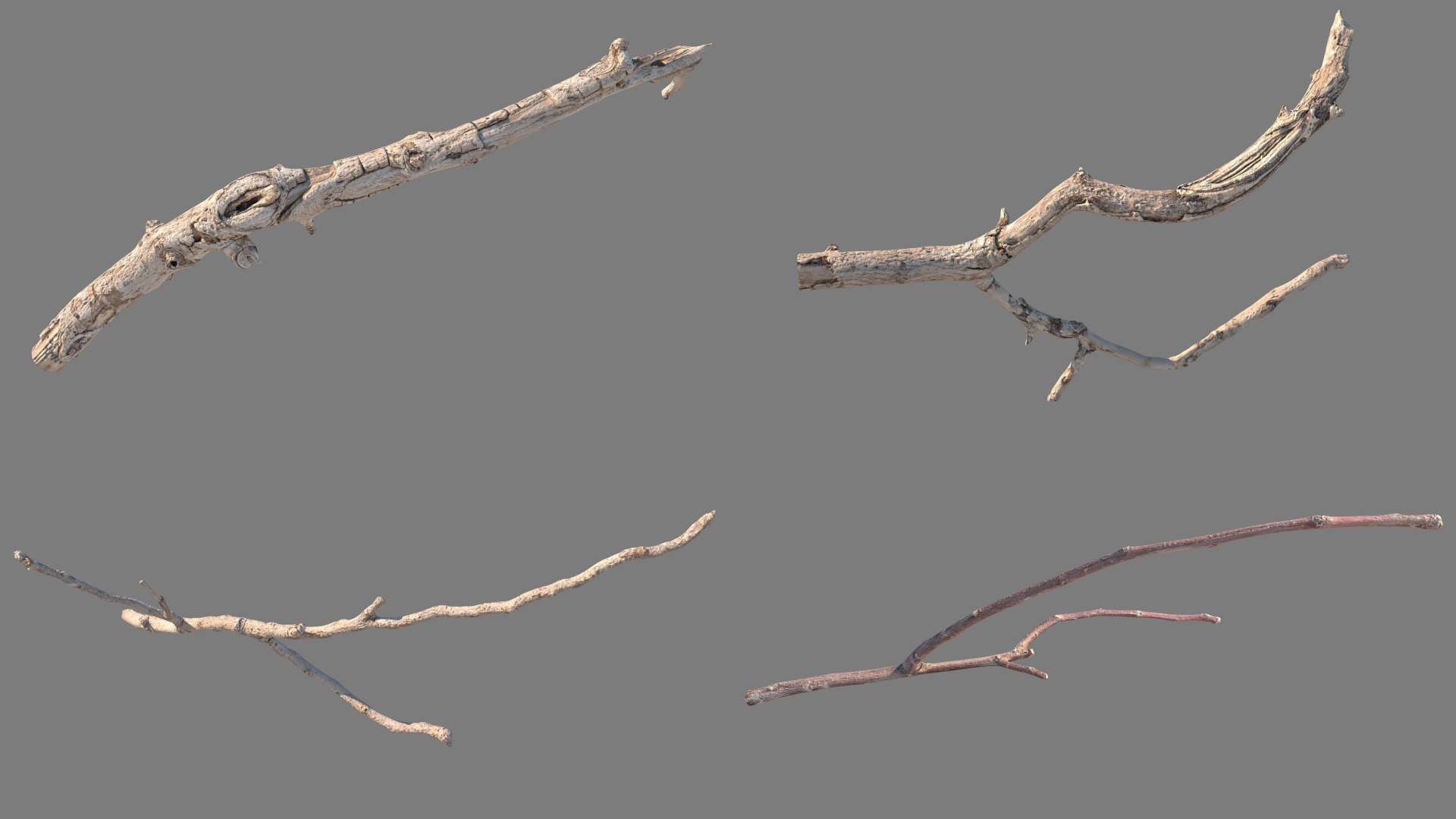 Twigs Scanned Collection 3D Model - TurboSquid 2090285