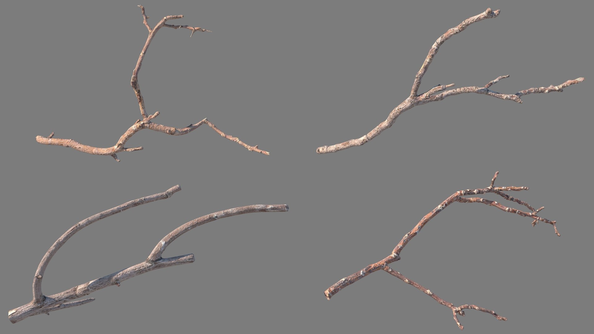 Twigs Scanned Collection 3D Model - TurboSquid 2090285