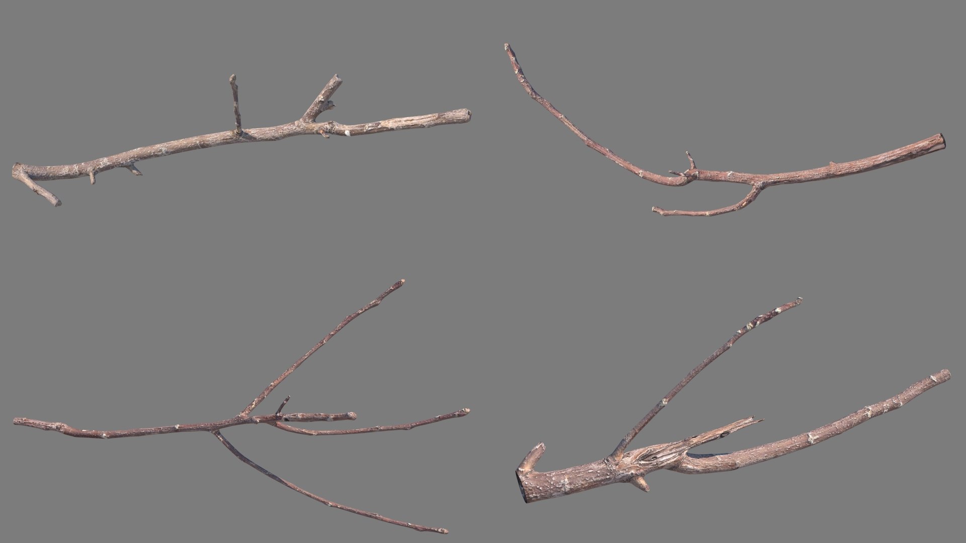 Twigs Scanned Collection 3D Model - TurboSquid 2090285