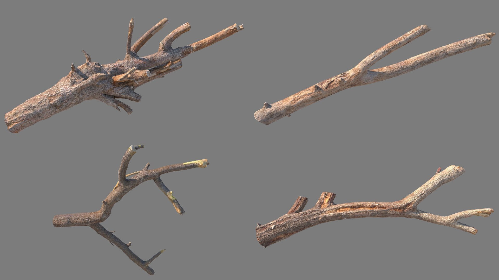 Twigs Scanned Collection 3D Model - TurboSquid 2090285