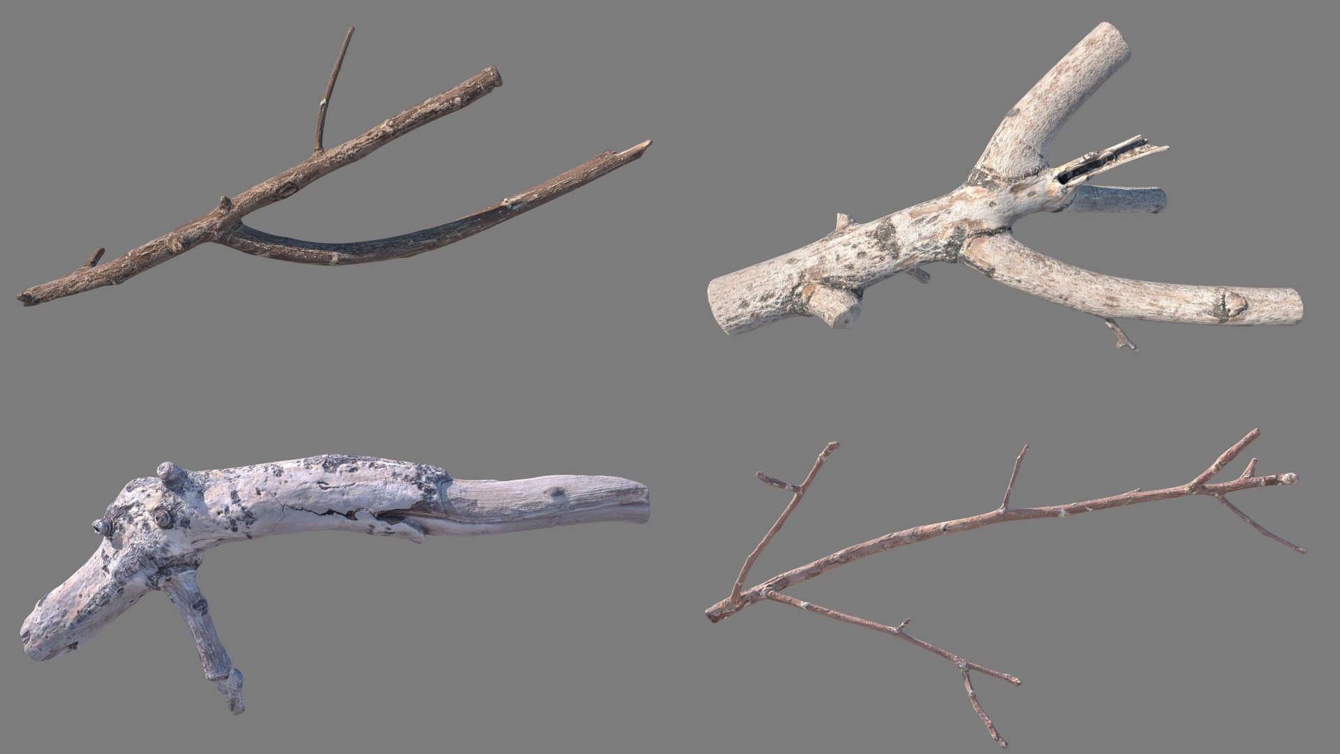 Twigs Scanned Collection 3D Model - TurboSquid 2090285