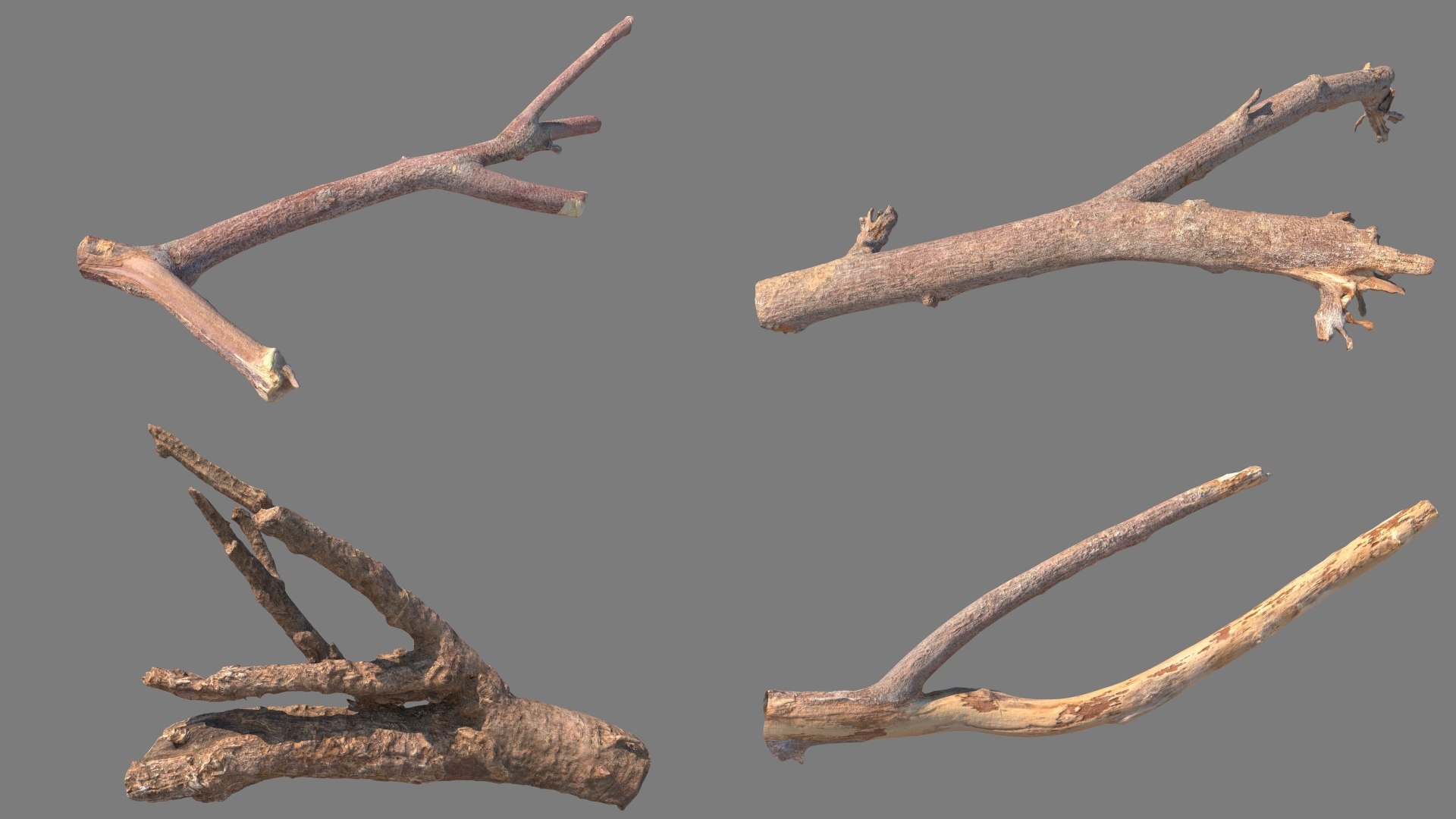 Twigs Scanned Collection 3D Model - TurboSquid 2090285