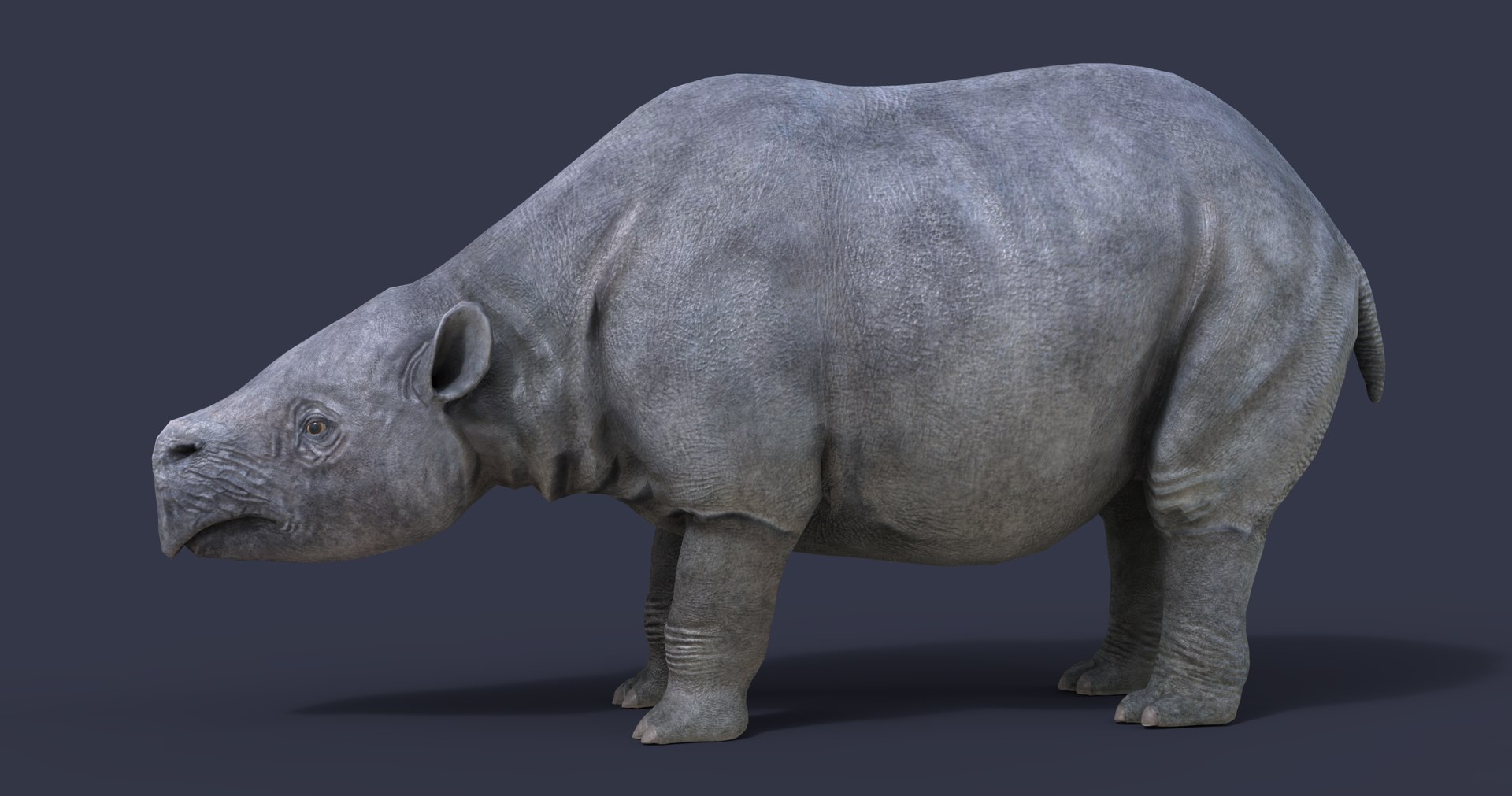 Toxodon 3D Model - TurboSquid 1806674