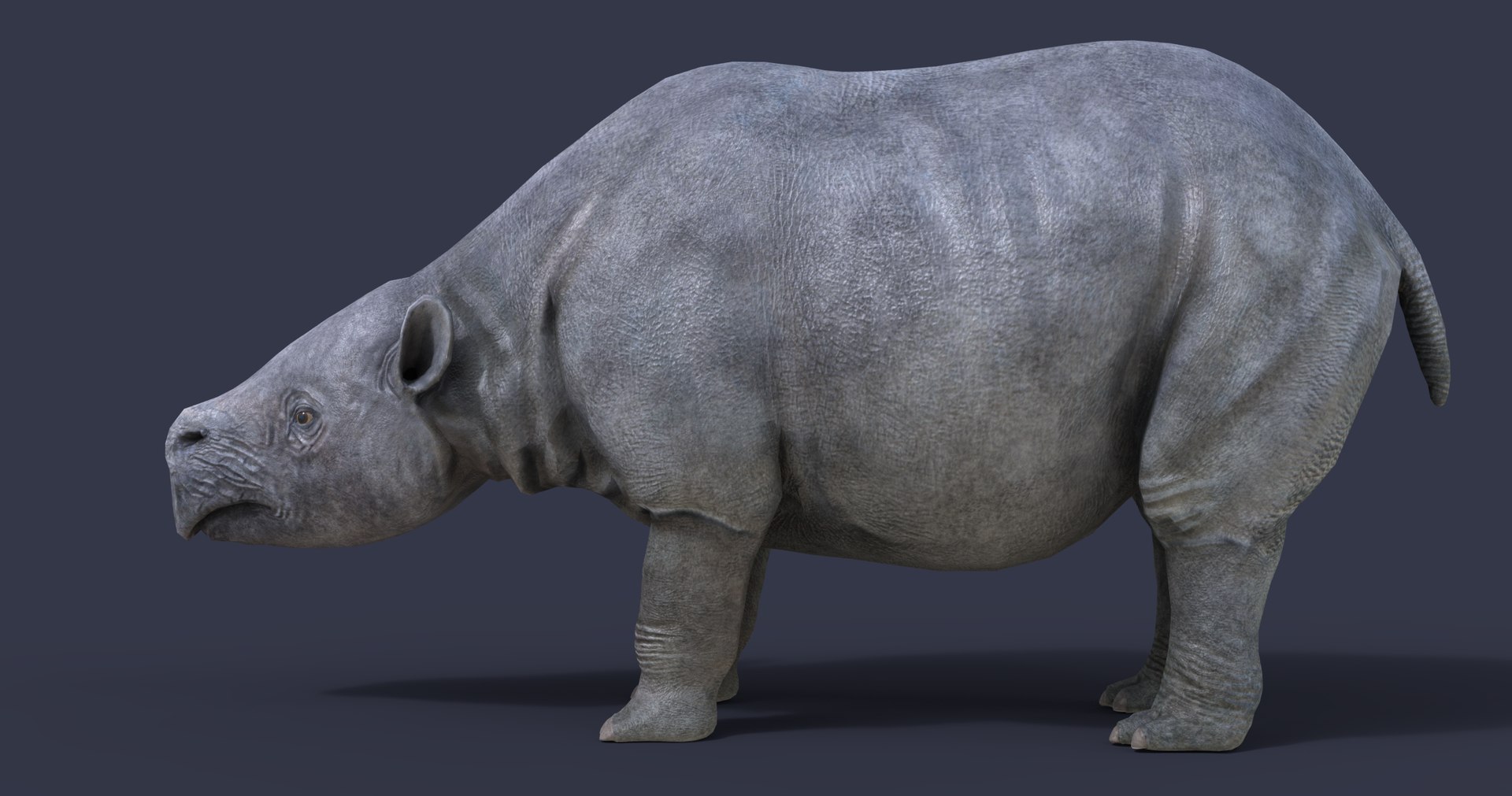 Toxodon 3D Model - TurboSquid 1806674