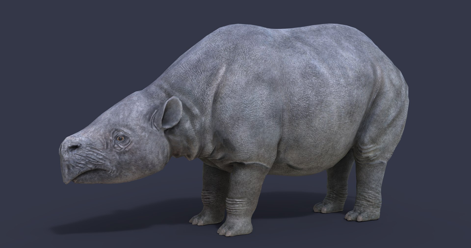 Toxodon 3D Model - TurboSquid 1806674