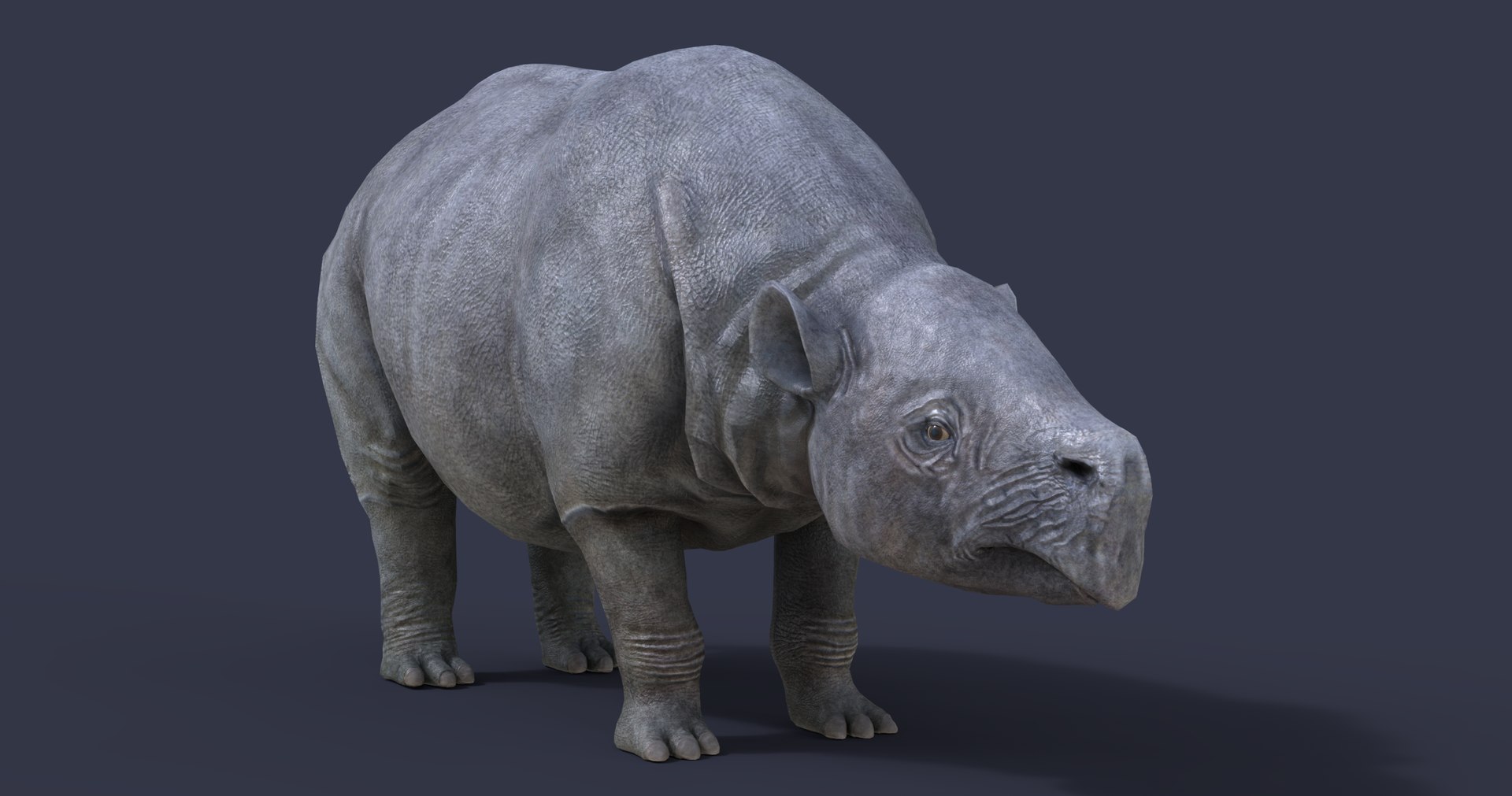 Toxodon 3D Model - TurboSquid 1806674