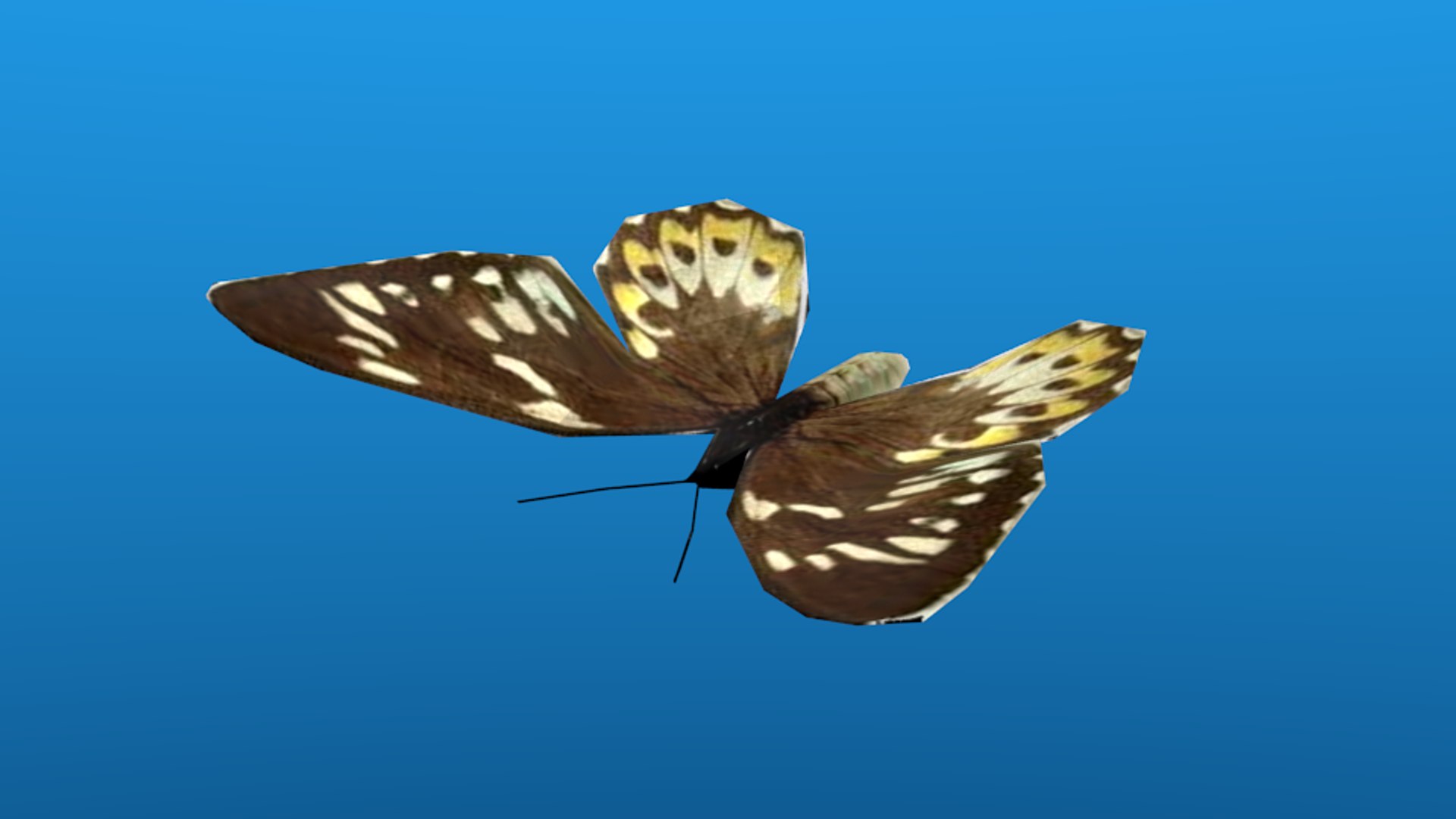 Butterfly Butter Fly Model - TurboSquid 1386504