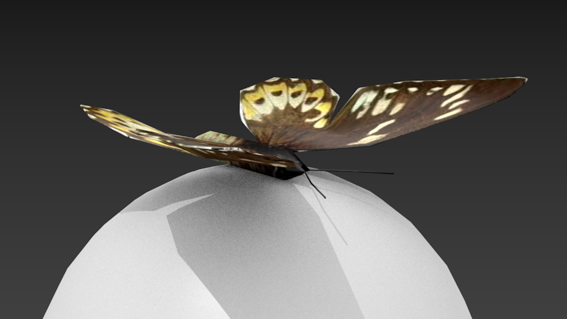 Butterfly Butter Fly Model - TurboSquid 1386504