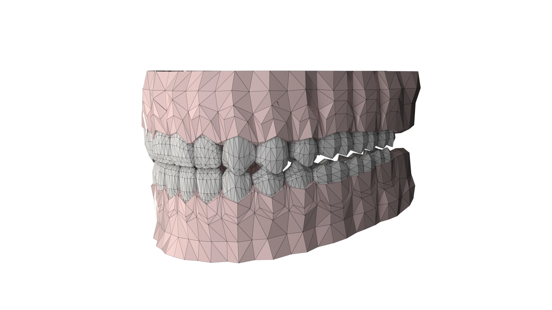 Teeth anatomy 3D model - TurboSquid 1445693