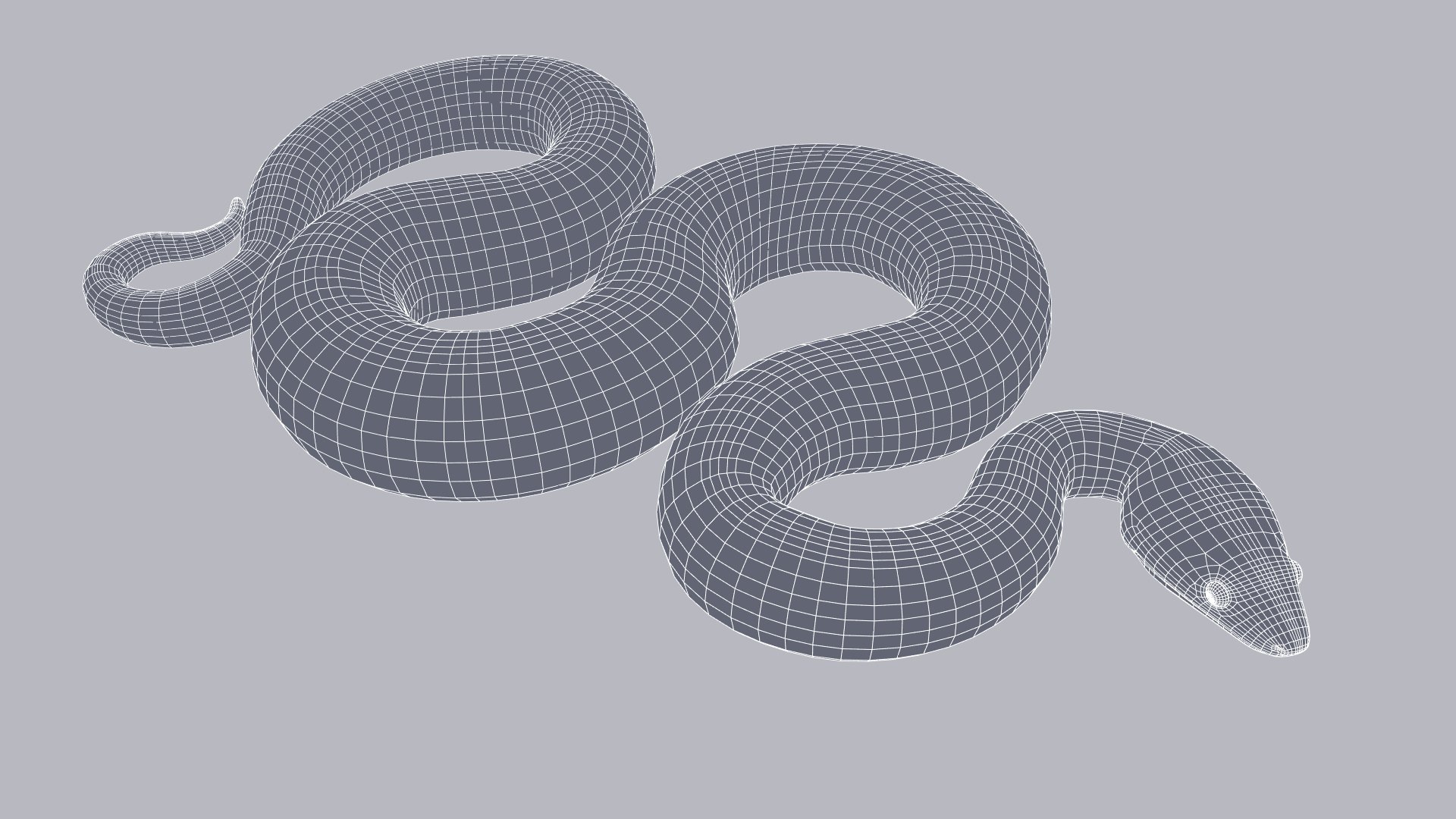 3D Rigged Bismarck Ringed Python - TurboSquid 1952236