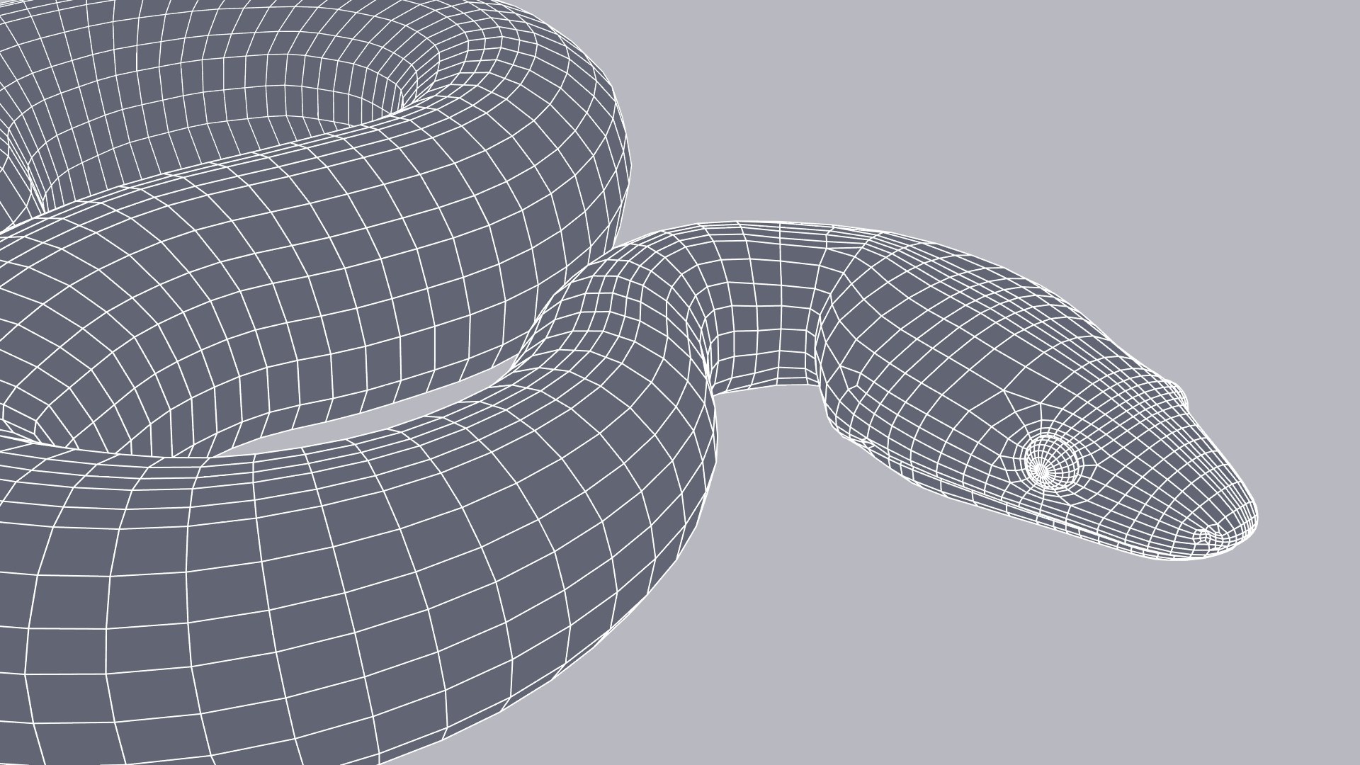 3D Rigged Bismarck Ringed Python - TurboSquid 1952236