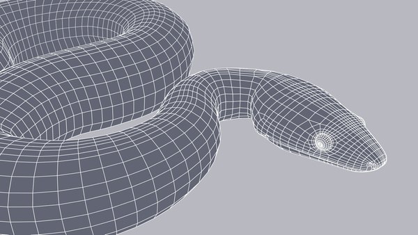 modelo 3d Rigged Bismarck Ringed Python - TurboSquid 1952236