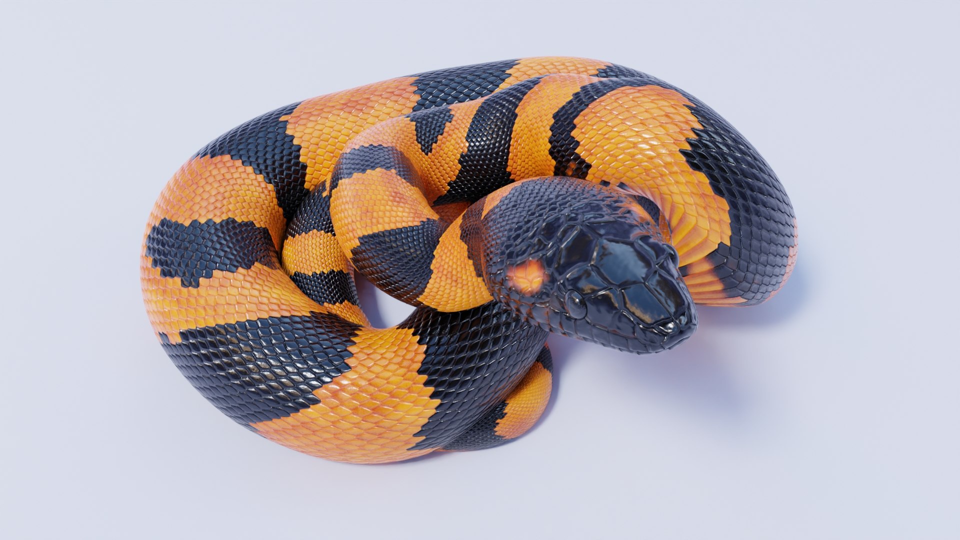 3D Rigged Bismarck Ringed Python - TurboSquid 1952236