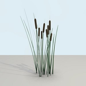 Blender Tail Models | TurboSquid