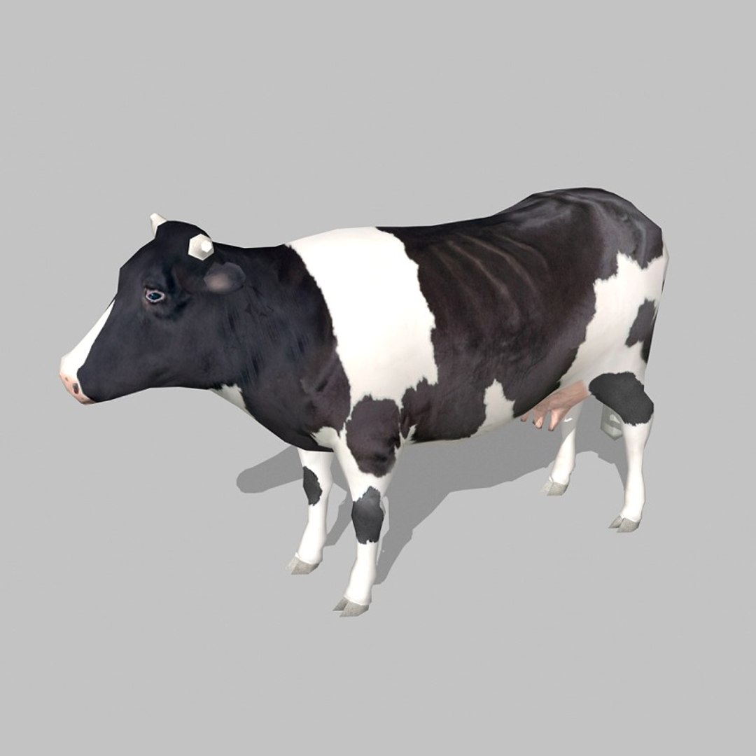 3d cow uv model