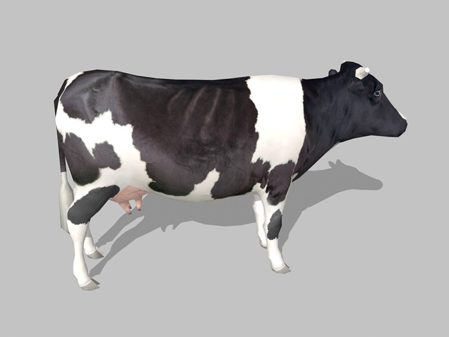 3d cow uv model