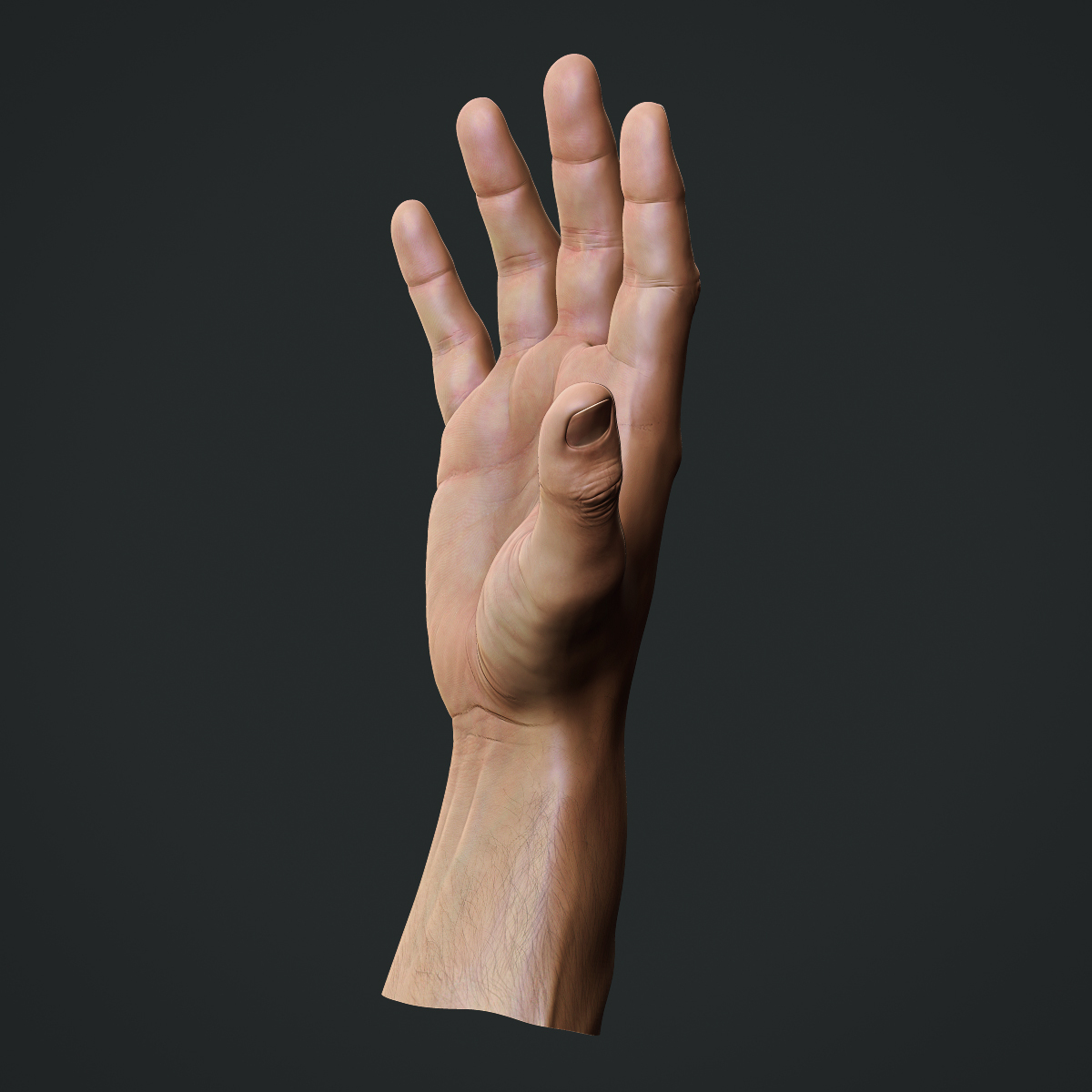 realistic male hand obj
