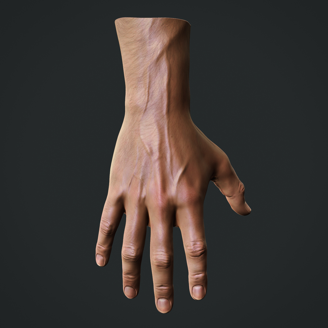 realistic male hand obj