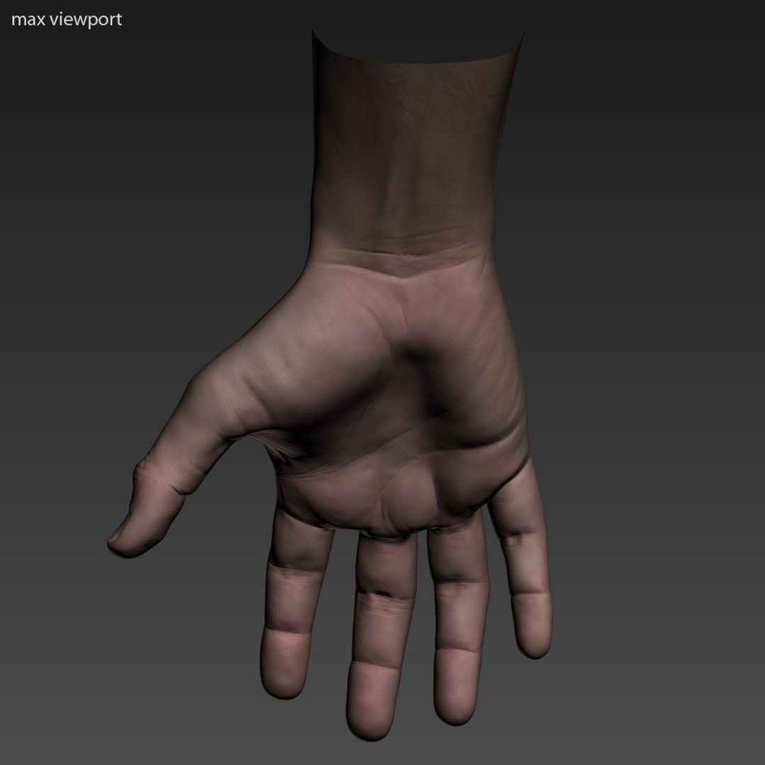 Realistic Male Hand Obj