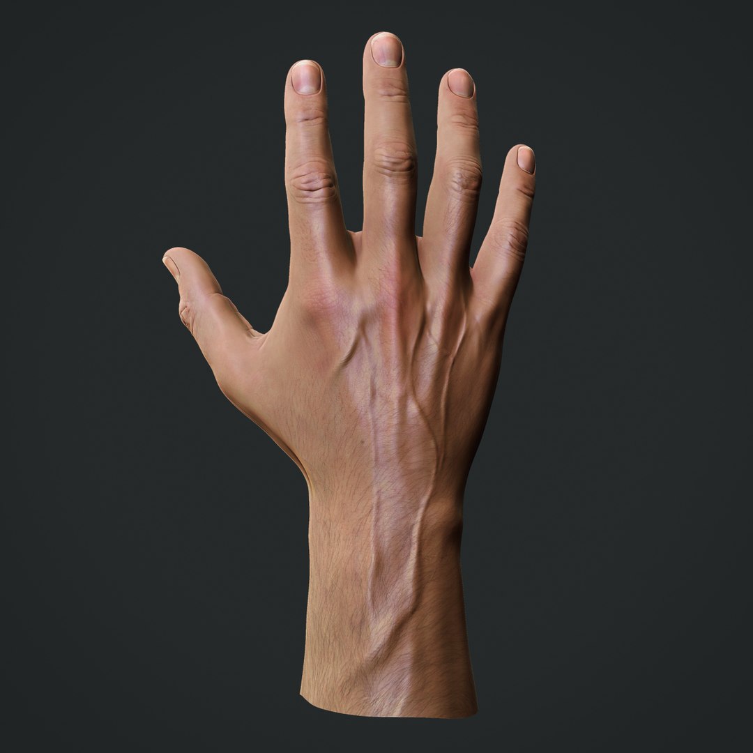 Realistic Male Hand Obj