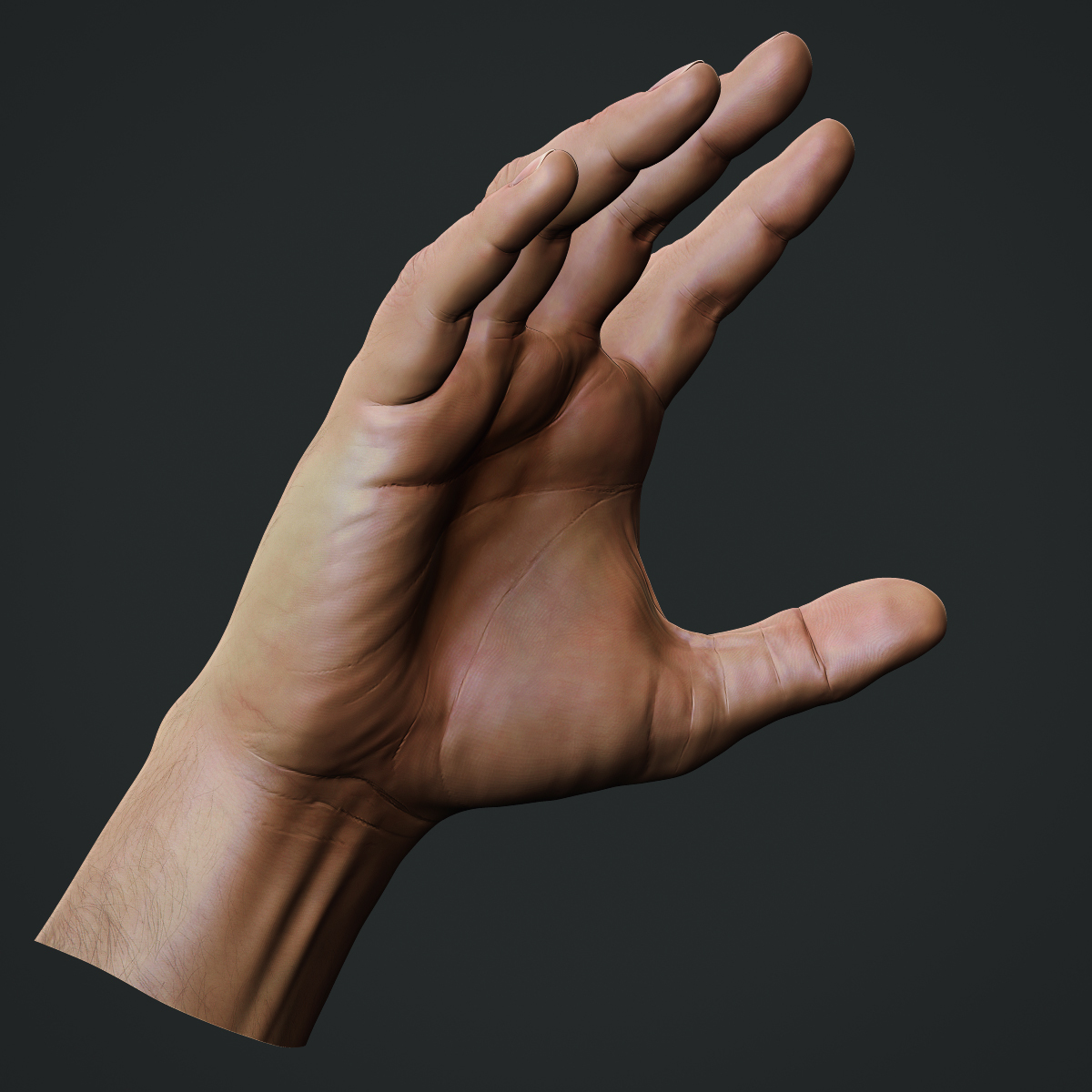 realistic male hand obj