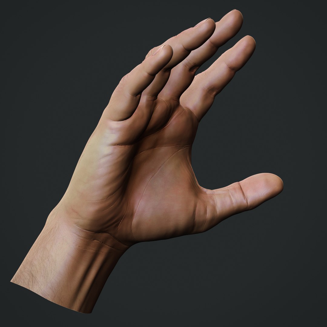 Realistic Male Hand Obj