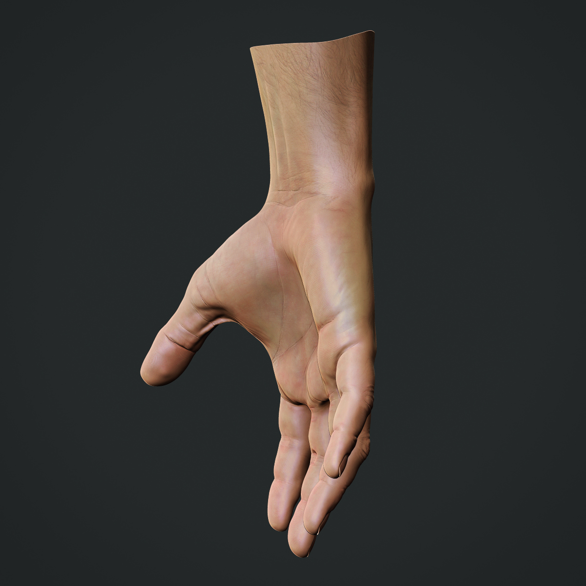 realistic male hand obj