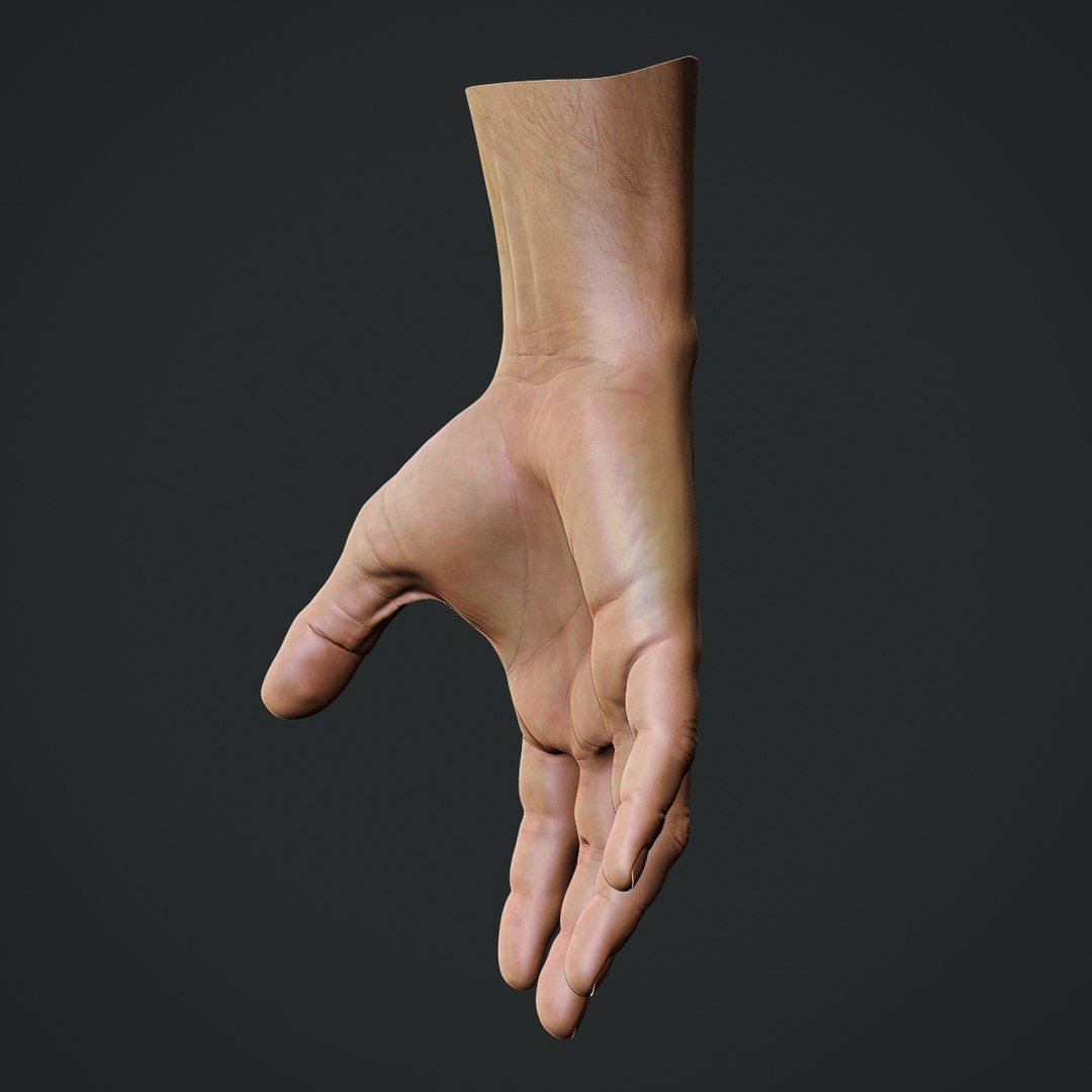 Realistic Male Hand Obj