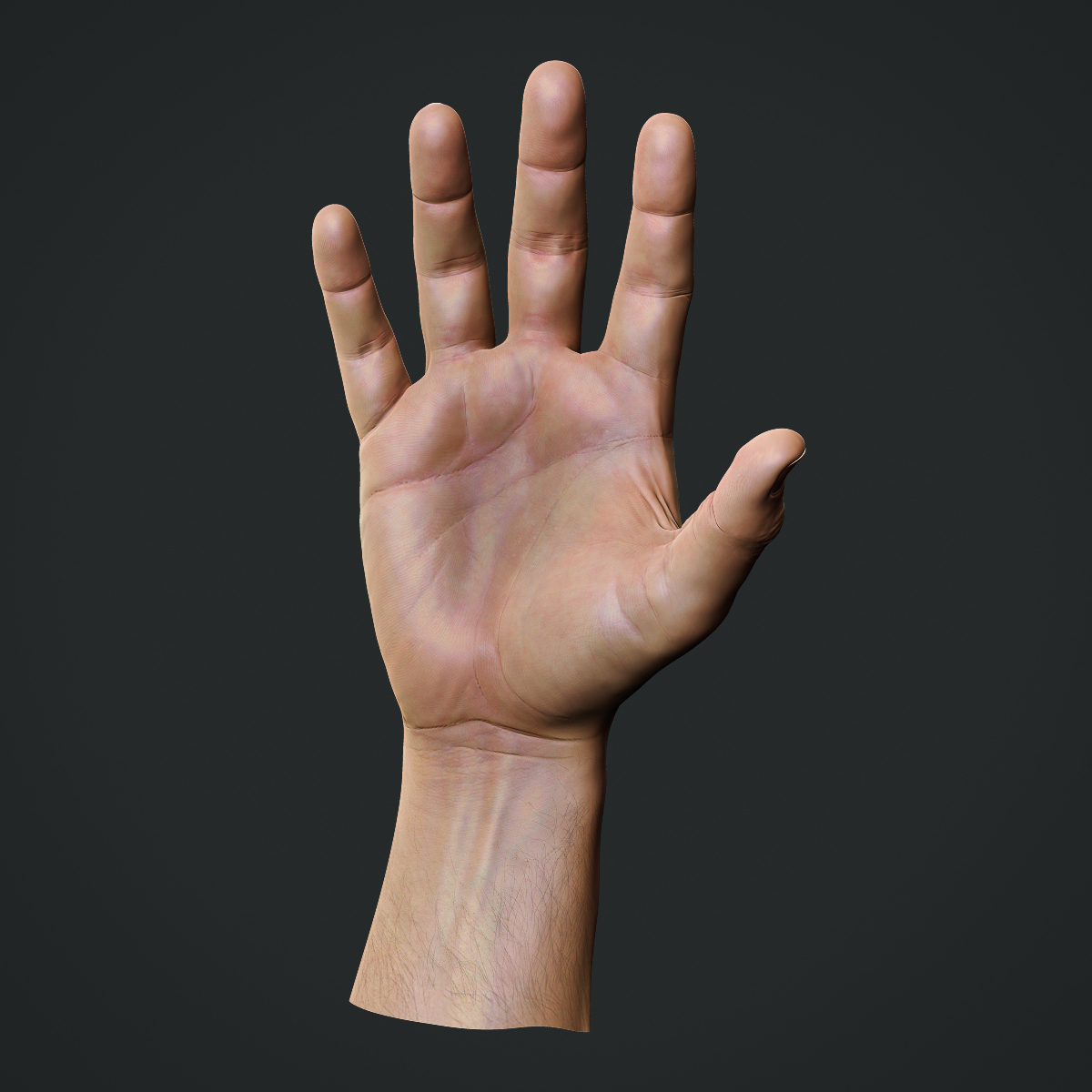 realistic male hand obj
