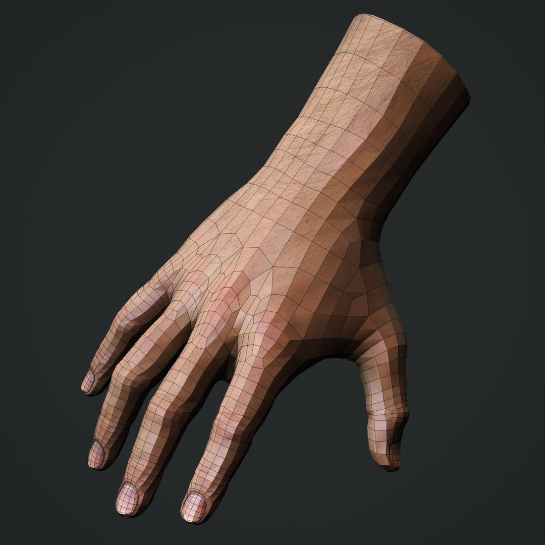 Realistic Male Hand Obj