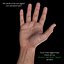 Realistic Male Hand Obj