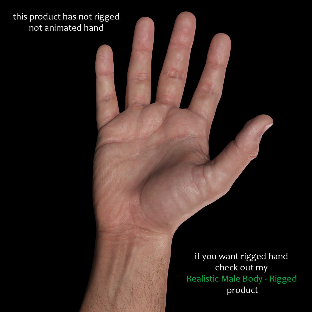 realistic male hand obj