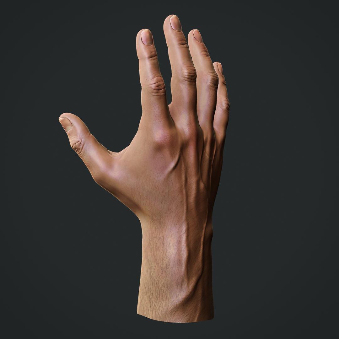 realistic male hand obj