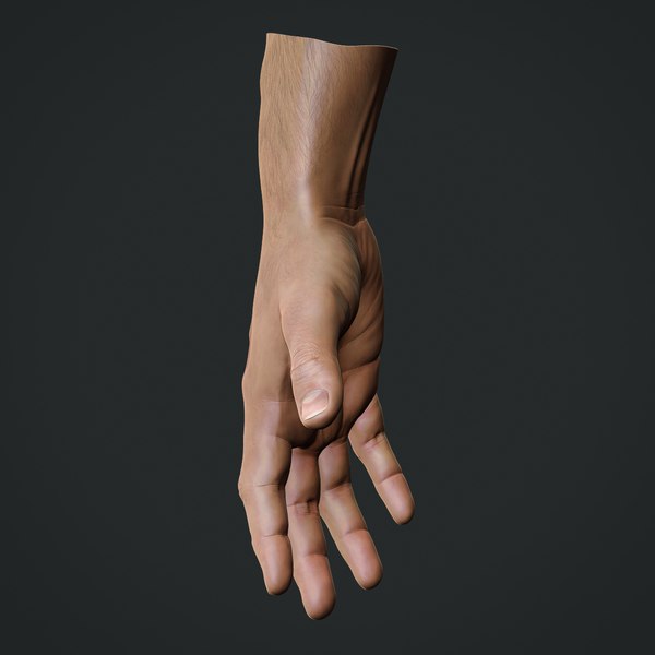 realistic male hand obj