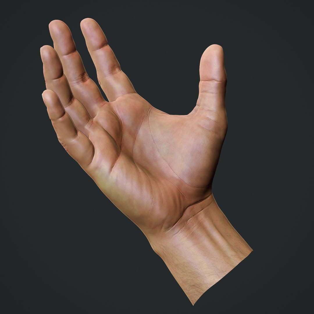 Realistic Male Hand Obj