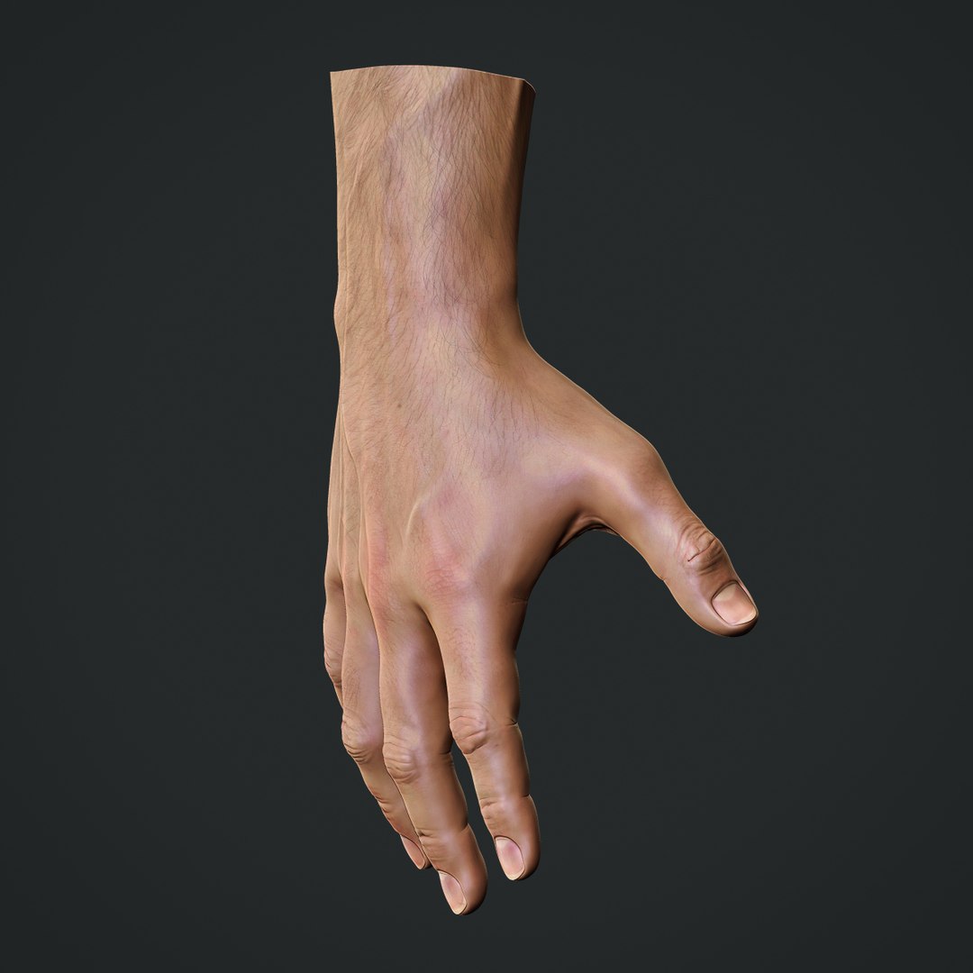 Realistic Male Hand Obj
