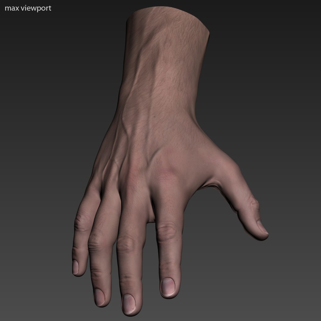 Realistic Male Hand Obj