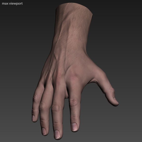 realistic male hand obj