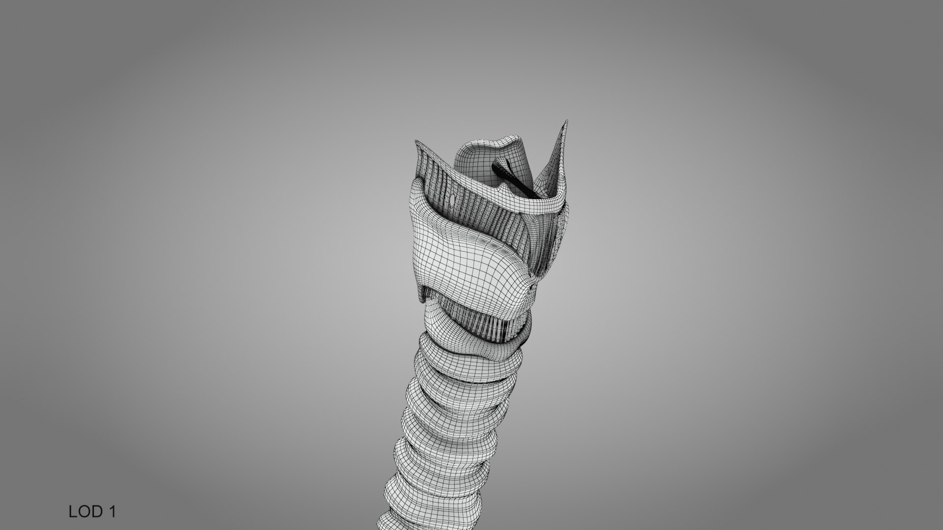 3D Larynx - TurboSquid 1924638